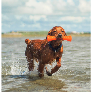 URBAN STICK - BIONIC® Dog Toys