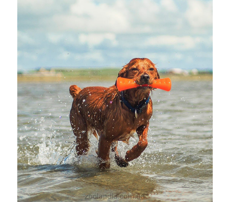 URBAN STICK - BIONIC® Dog Toys