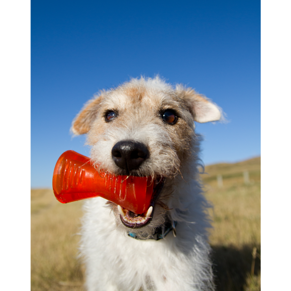 BIONIC BONE - BIONIC® Dog Toys