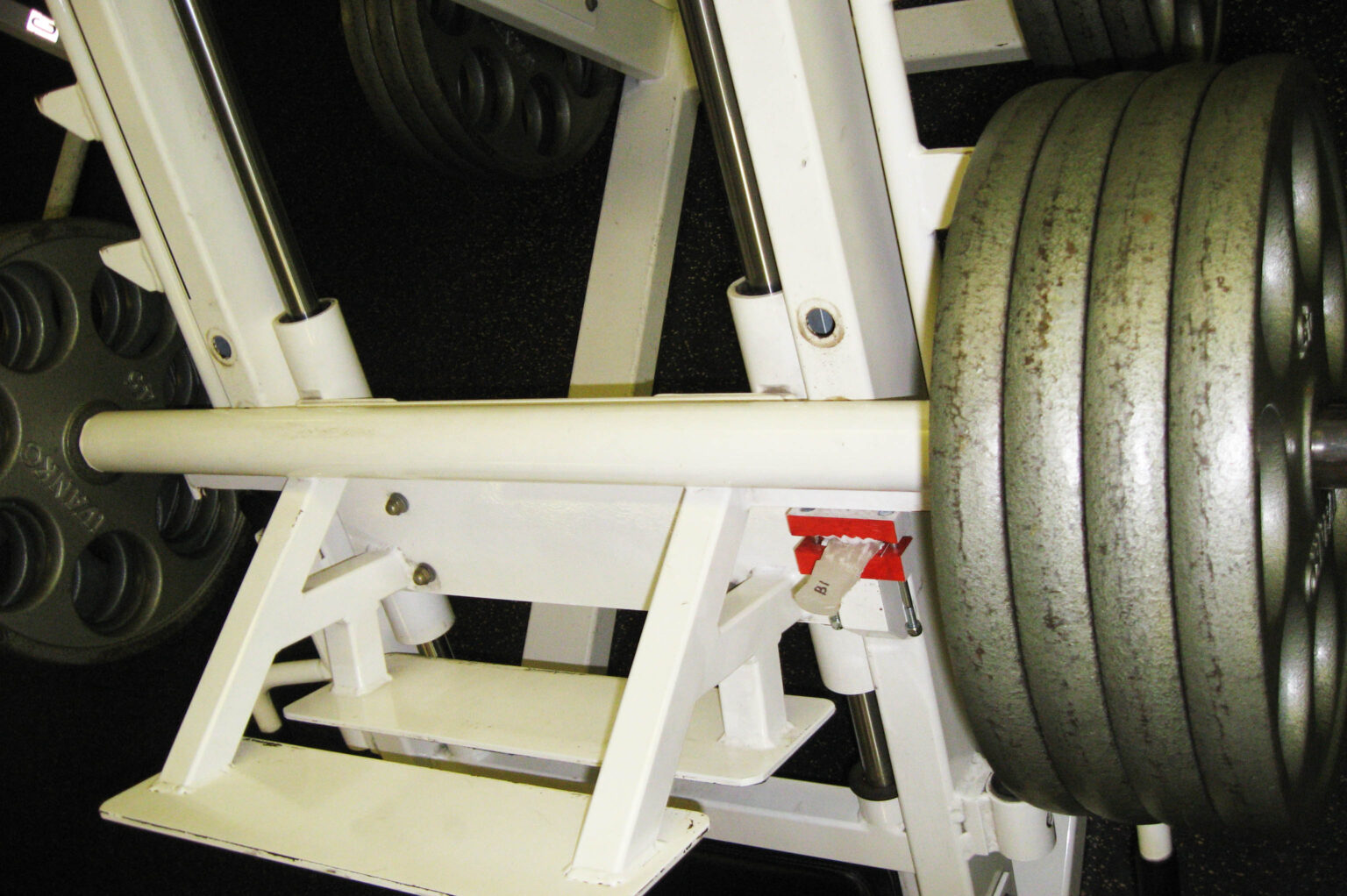 About BIONIC® Dog Toys | The BIONIC Story