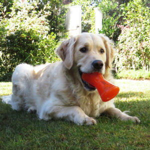 BIONIC BONE - BIONIC® Dog Toys