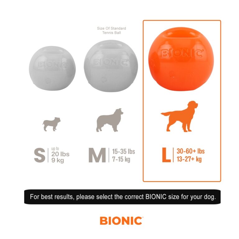 BIONIC BALL - BIONIC® Dog Toys