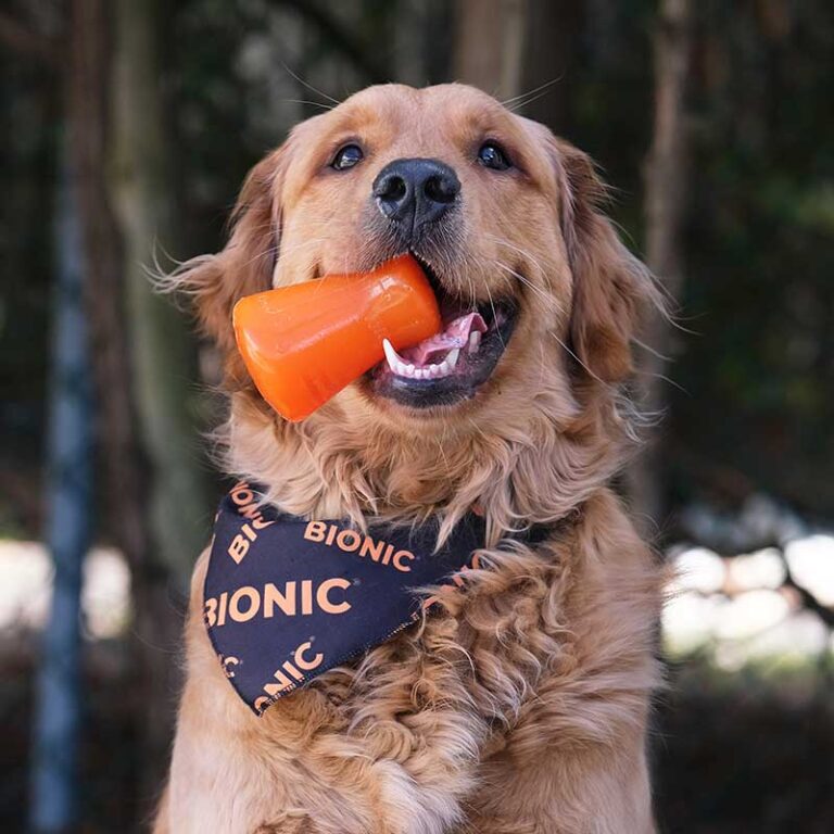 BIONIC TREAT SHAKERᵀᴹ - BIONIC® Dog Toys